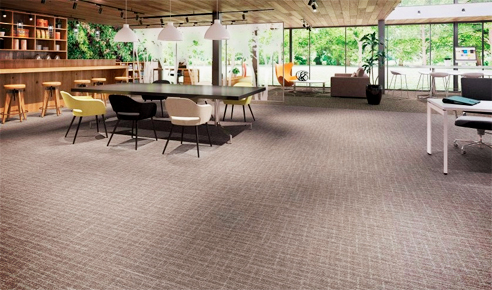 New Range of Colourful Carpets | Nolan Group