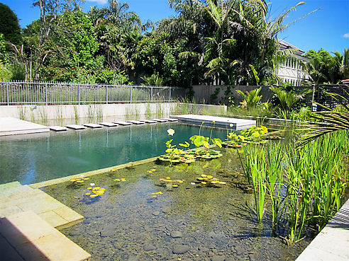 Bio-filtration for Bacteria-Free Natural Pools | Waterco
