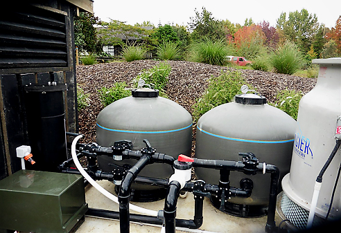 Bio-filtration for Bacteria-Free Natural Pools | Waterco