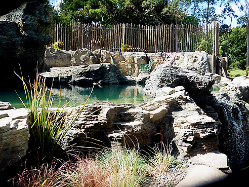 Bio-filtration for Bacteria-Free Natural Pools | Waterco