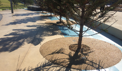Permeable Tree Pits for Scarborough Beach from MPS Paving