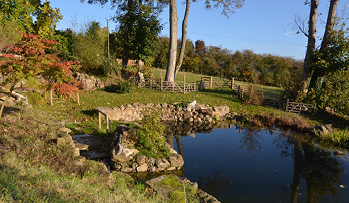 Natural Pool Installation Filtration Solutions from Waterco